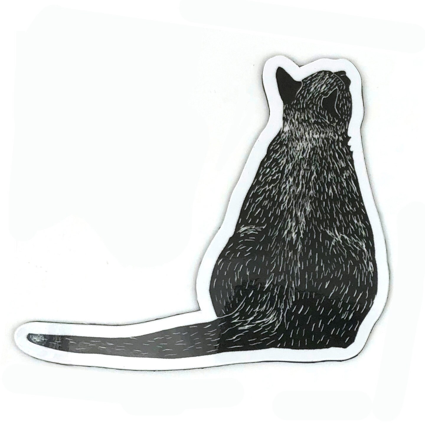 6 Cat Magnets, Black Cats, Skeleton, Depressed Cat, Meow - Etsy