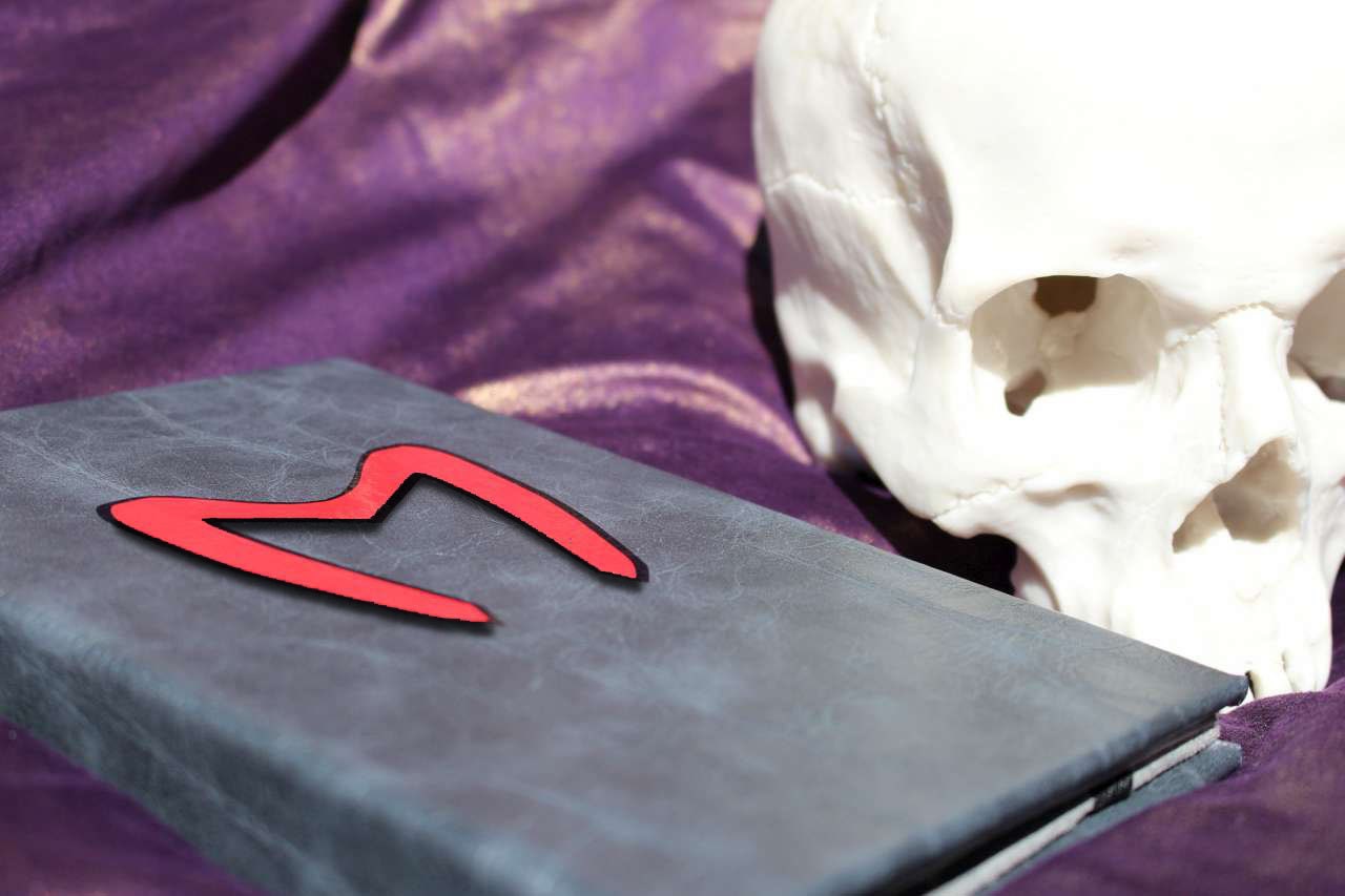 Codex Umbra Dont Starve Maxwells Shadow Book Replica Ereader | Etsy