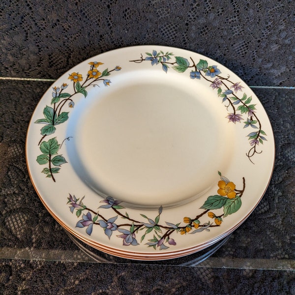 Botanical Plates - Etsy