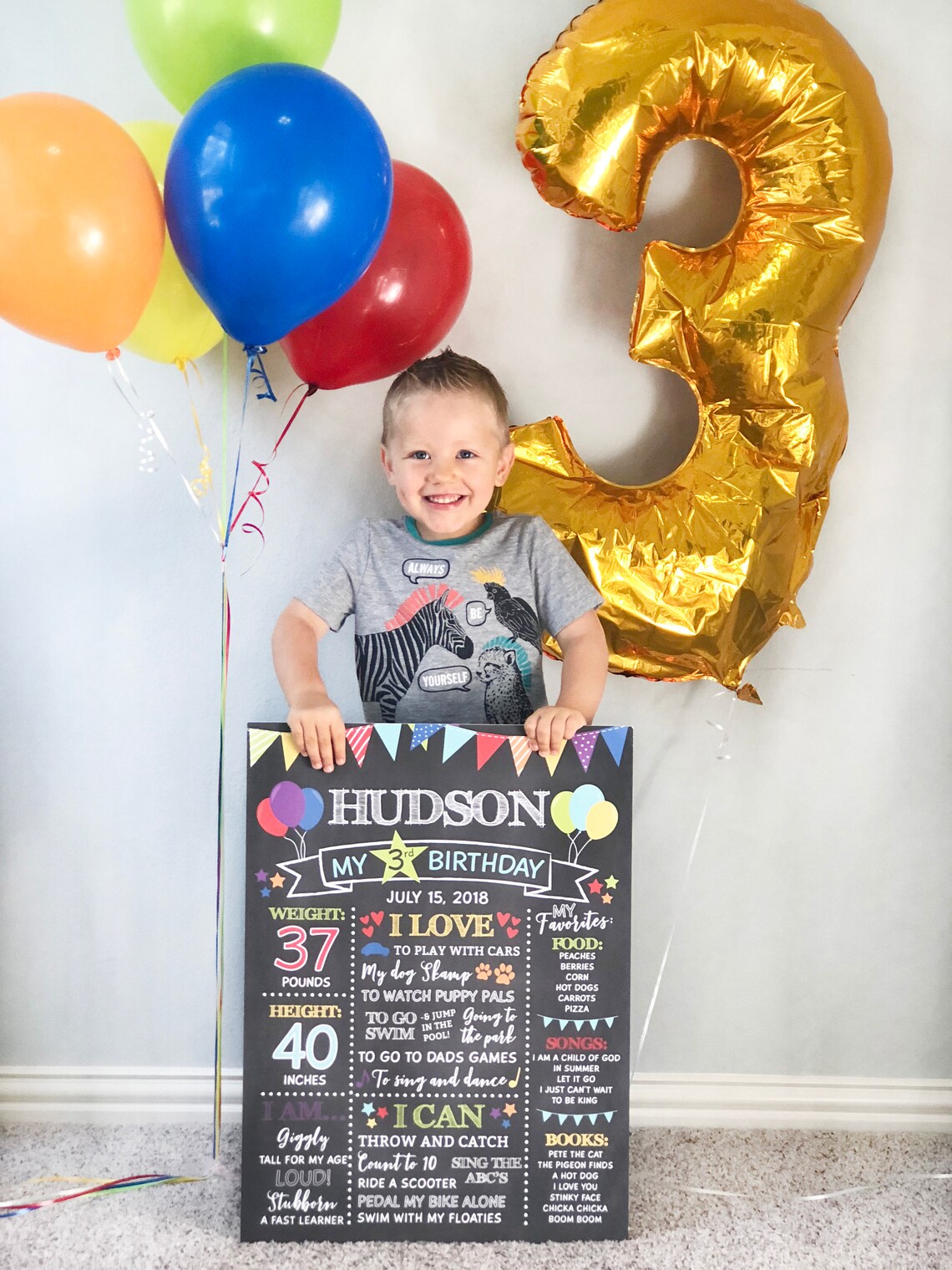 Birthday Interview Info Graphic Sign Template Editable | Etsy