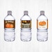 Fall Party Bottle Label Template - Fall Label Template, Thanksgiving ...