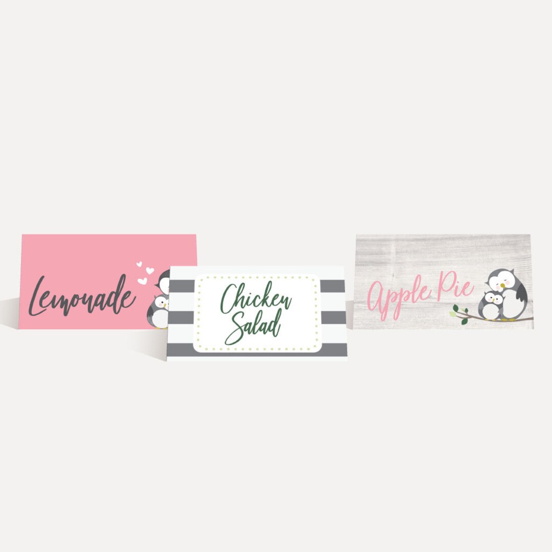 Owl Girl Pink Editable Food Tent Cards, Food Tent Card Instant Download ...