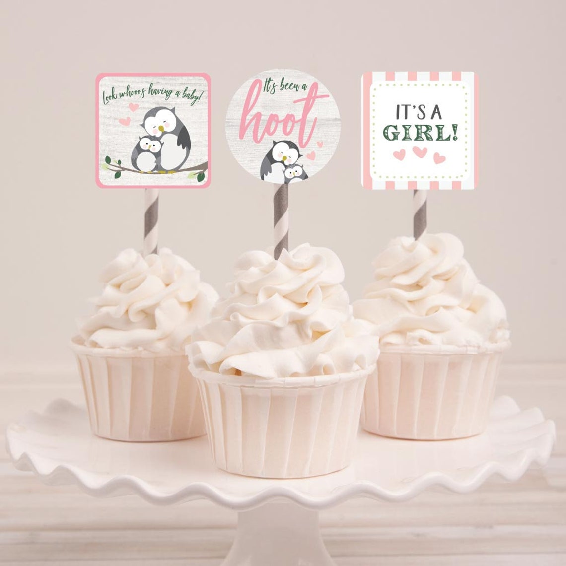 Owl Girl Baby Shower Cupcake Toppers Template baby Shower | Etsy