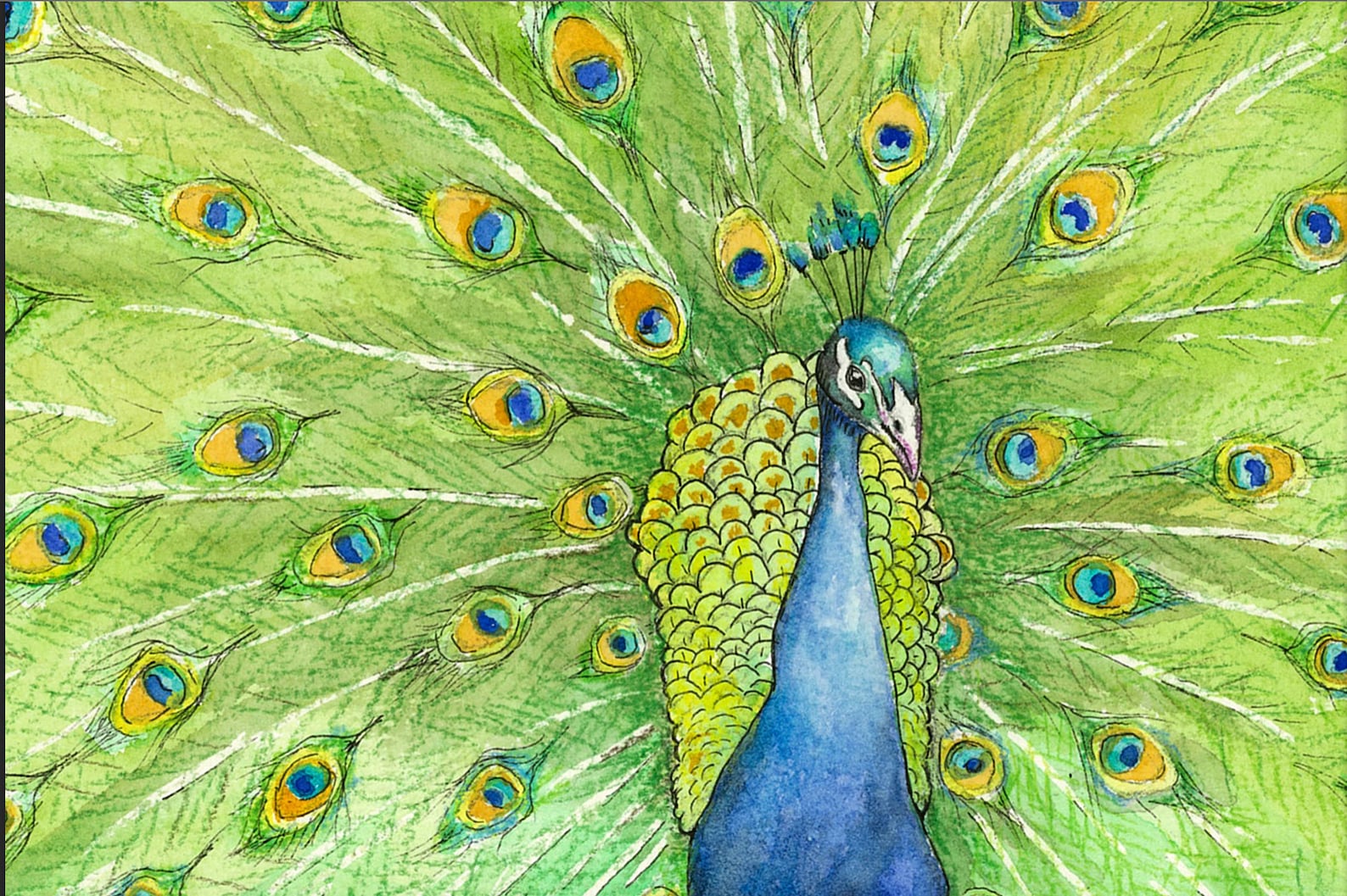Peacock Painting Peacock Art Print Peacock Art Peacock Wall - Etsy