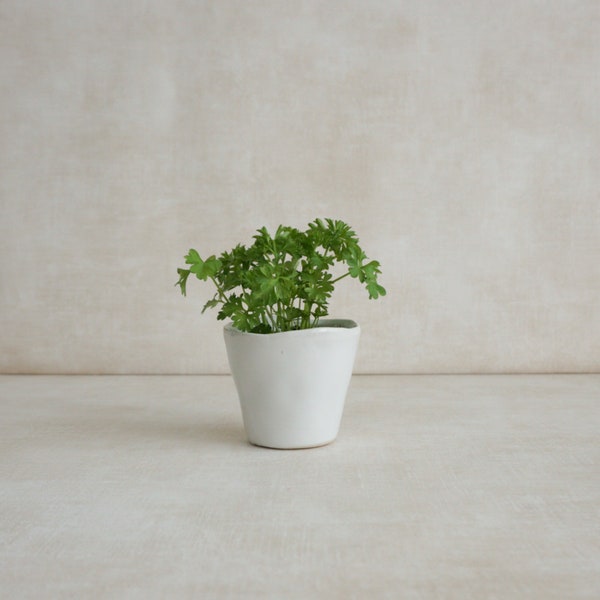 White Ceramic Pot - Etsy