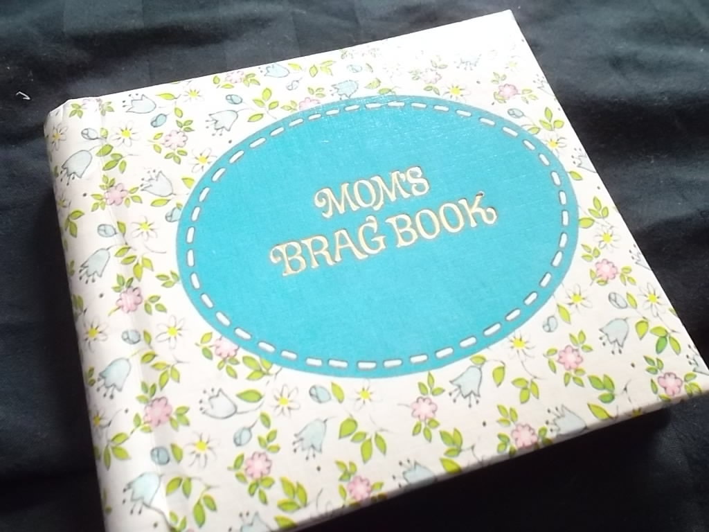 Vintage C.R. Gibson Mom's Brag Book Blue and Pink - Etsy UK