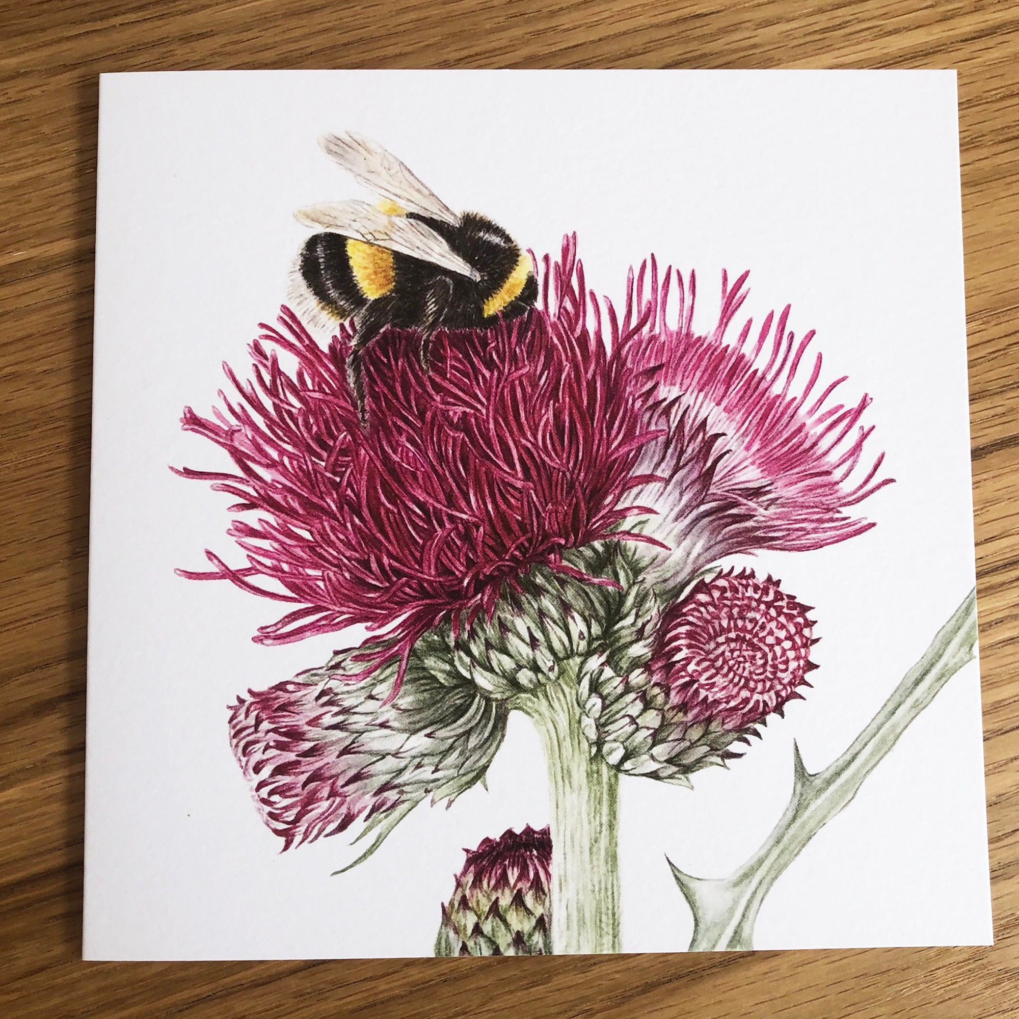 Bumble Bee and Flowers Watercolour Botanical Art Cards Gift - Etsy