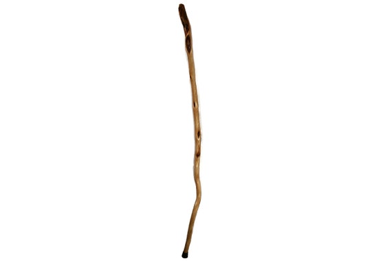 61" Gnarly Walking Stick, Long Crooked Woodland Stave, Rare Aged ...
