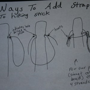 Walking Stick With Handle, Diamond Willow Wood, Rope Hand Grip N ...