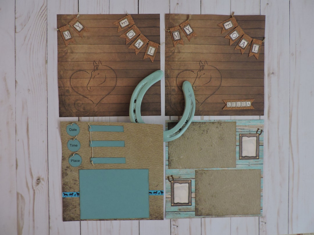 Foal Record Book #2 With Blue Accents and Album - Etsy