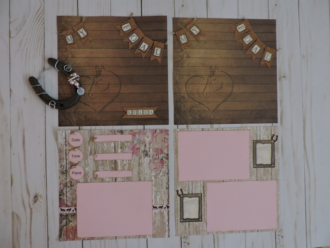 Foal Record Book With Pink Accents and Album - Etsy