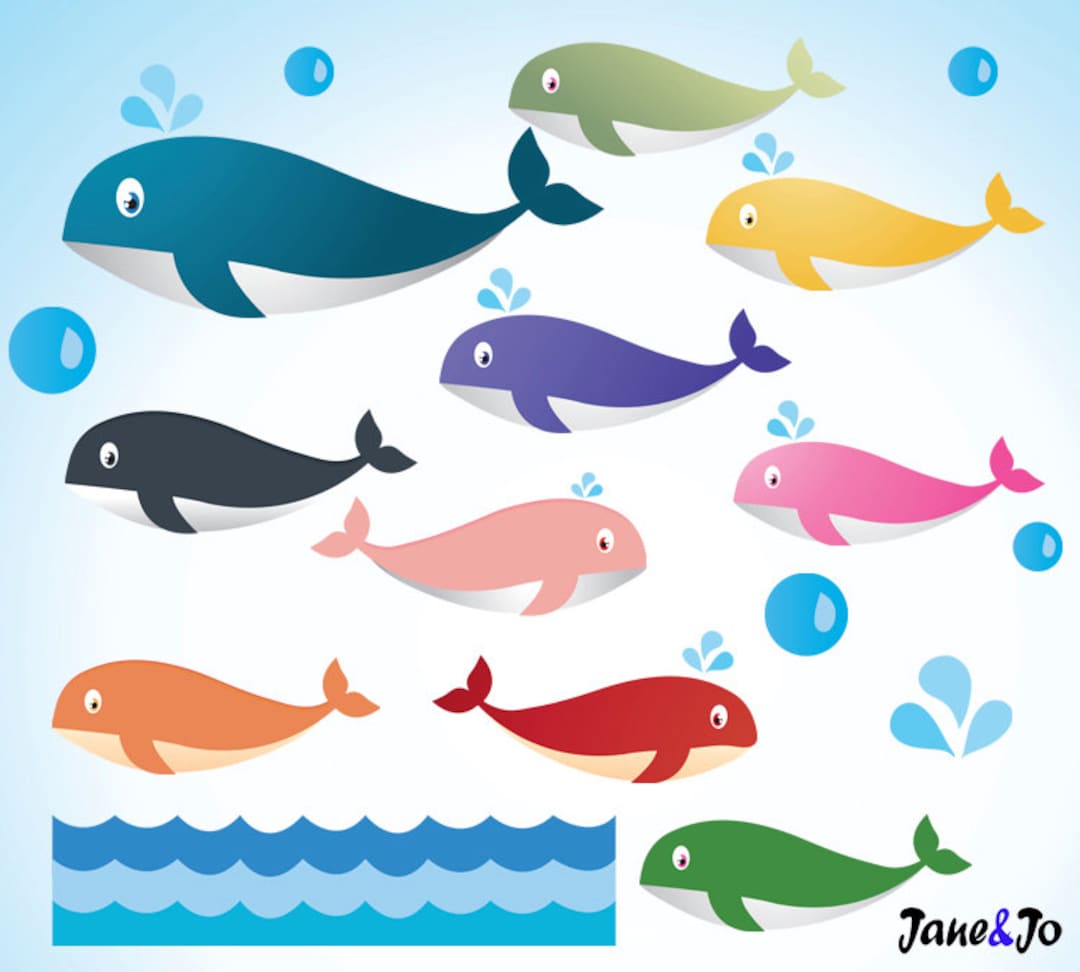 50% OFF SALE Whale Clipart , Whales Graphics , Whale Illustrator ,whale ...