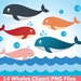 50% OFF SALE Whale Clipart , Whales Graphics , Whale Illustrator ,whale ...