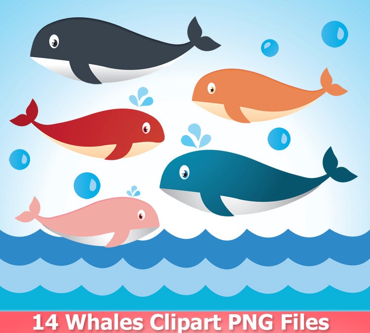 50% OFF SALE Whale Clipart , Whales Graphics , Whale Illustrator ,whale ...