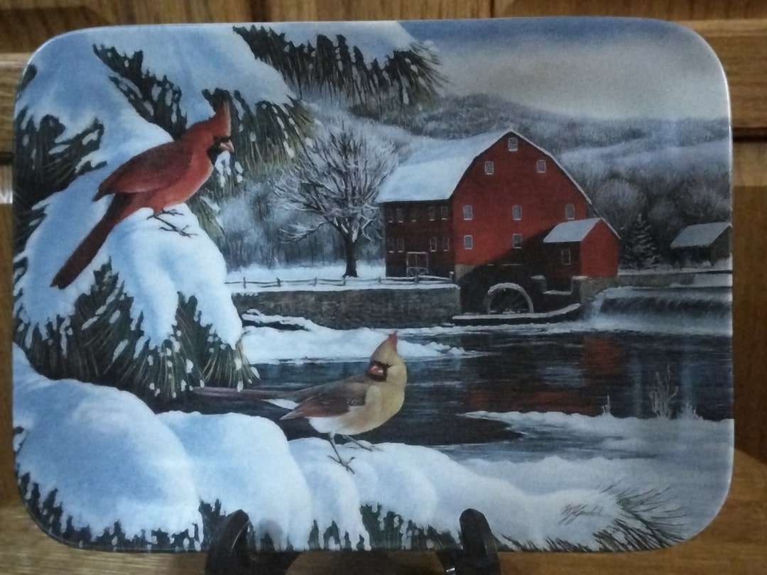 Vintage Bradford Exchange Cardinal Square Plate - Etsy