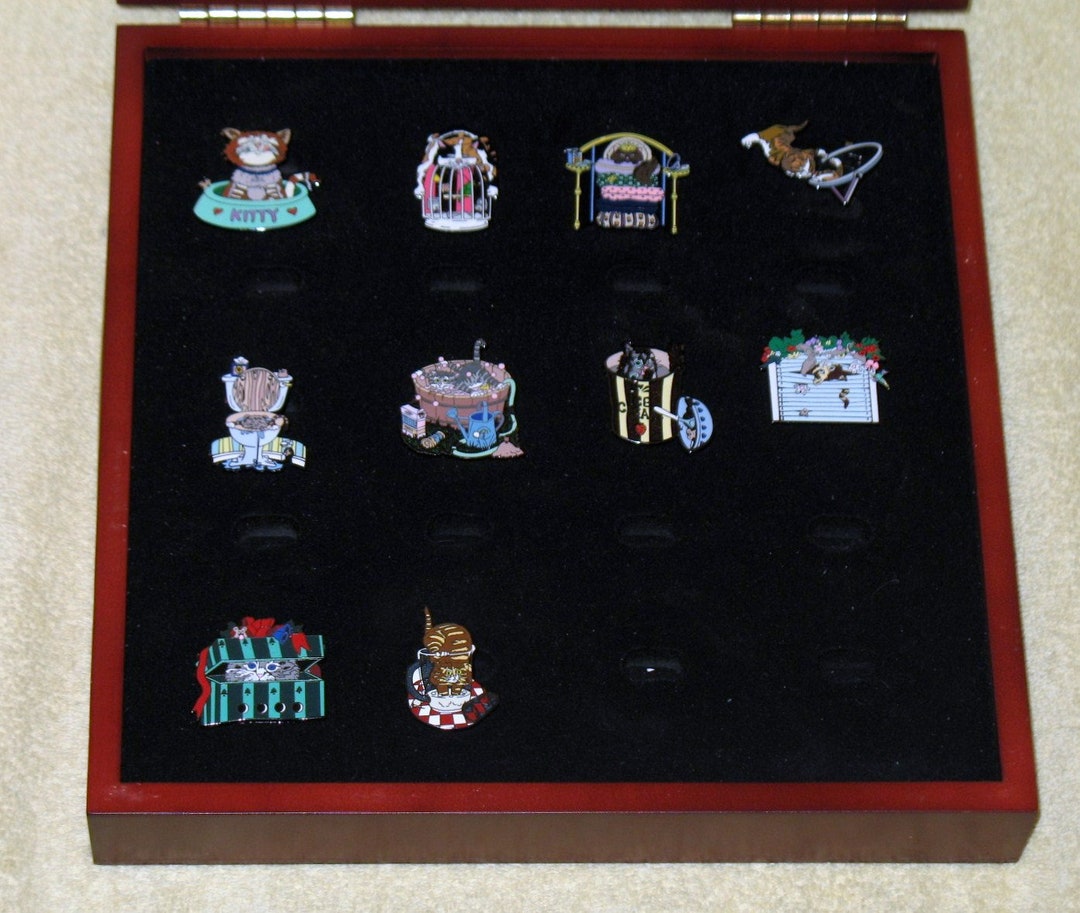 Vintage Gary Patterson Pins and Case as Shown - Etsy