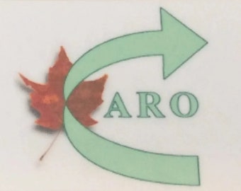 Novice Rally Signs - Etsy