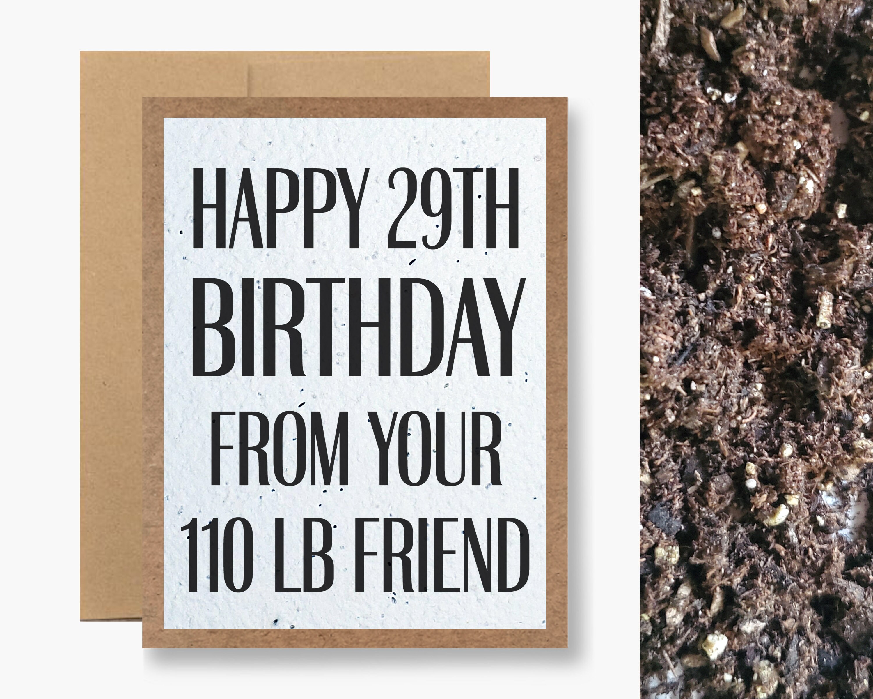 Plantable Greeting Card Happy 29th Birthday from our | Etsy
