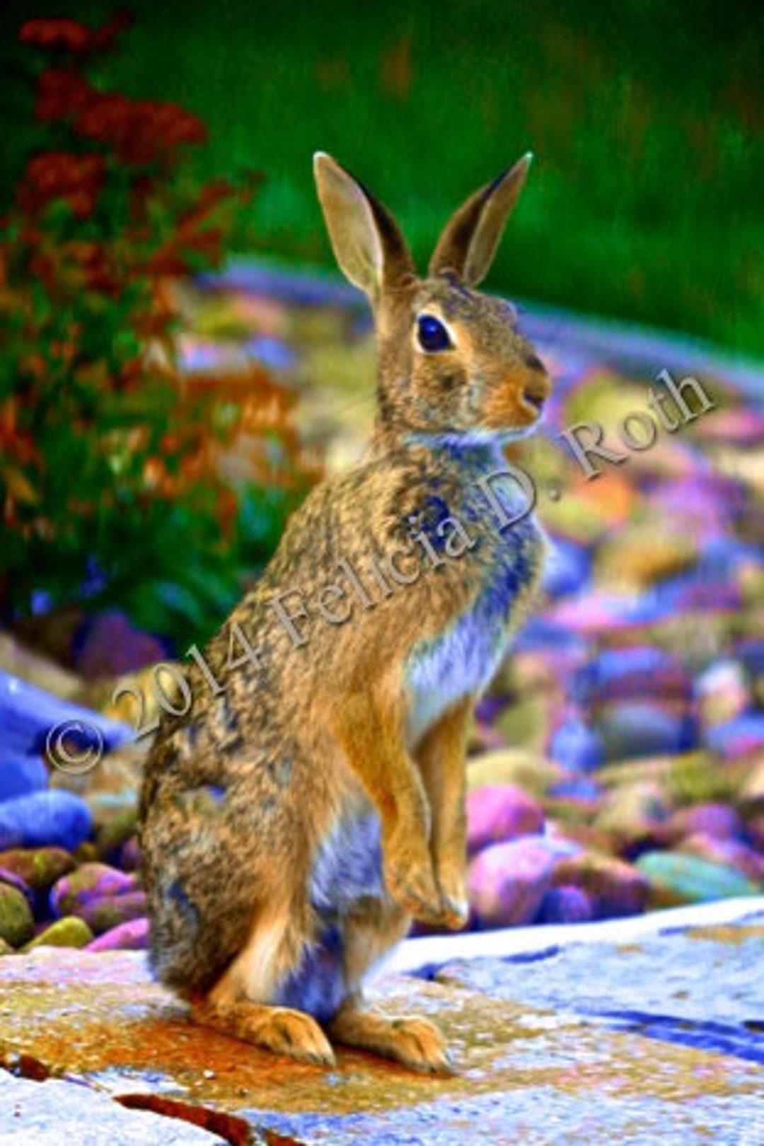 Stand up Bunny - Fine Art Metal Print by Felicia D. Roth - Felicias ...