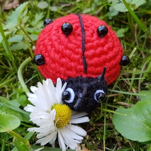 Tiny Bugs Ladybug Pattern PDF Pattern Instant Download PDF - Etsy