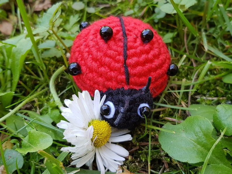 Tiny Bugs Ladybug Pattern PDF Pattern Instant Download PDF - Etsy