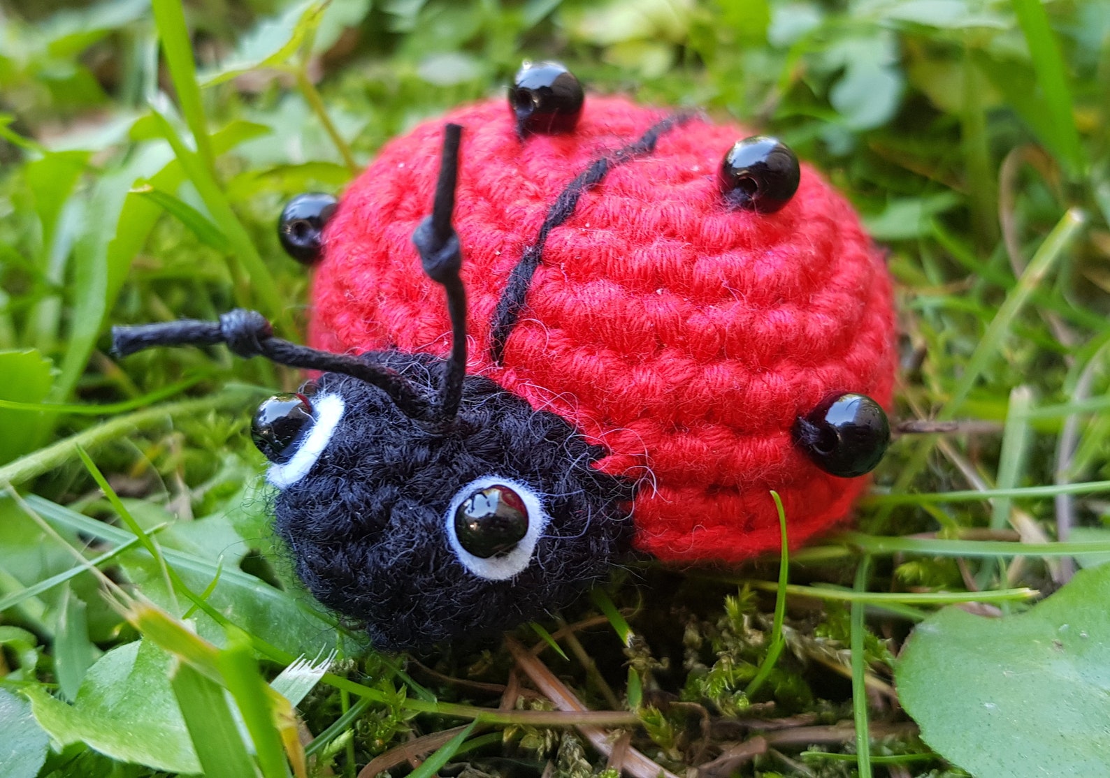 Tiny Bugs, Ladybug Pattern, PDF Pattern, Instant Download PDF, Crochet ...