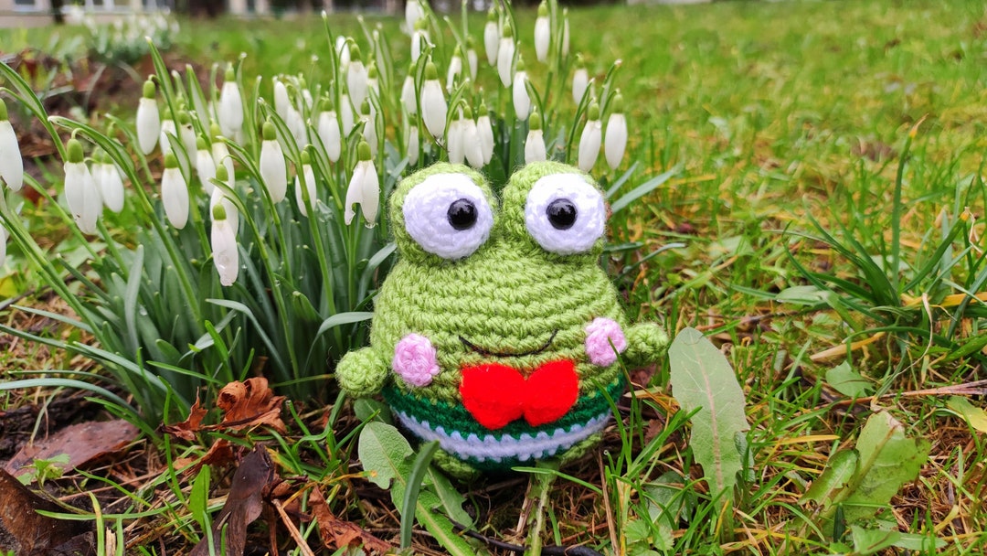 Tiny Frog, Frog Keychain, Plush Toy, Crochet Amigurumi Frog, Lucky Frog ...