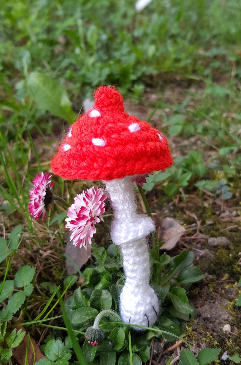Red Mushroom Crochet Crochet Toadstool PDF PDF Pattern - Etsy