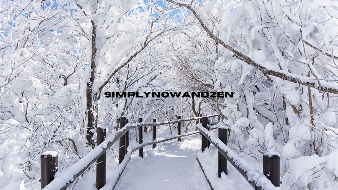 Winter Wonderland Desktop Wallpaper Aesthetic, Desktop Organizer for ...
