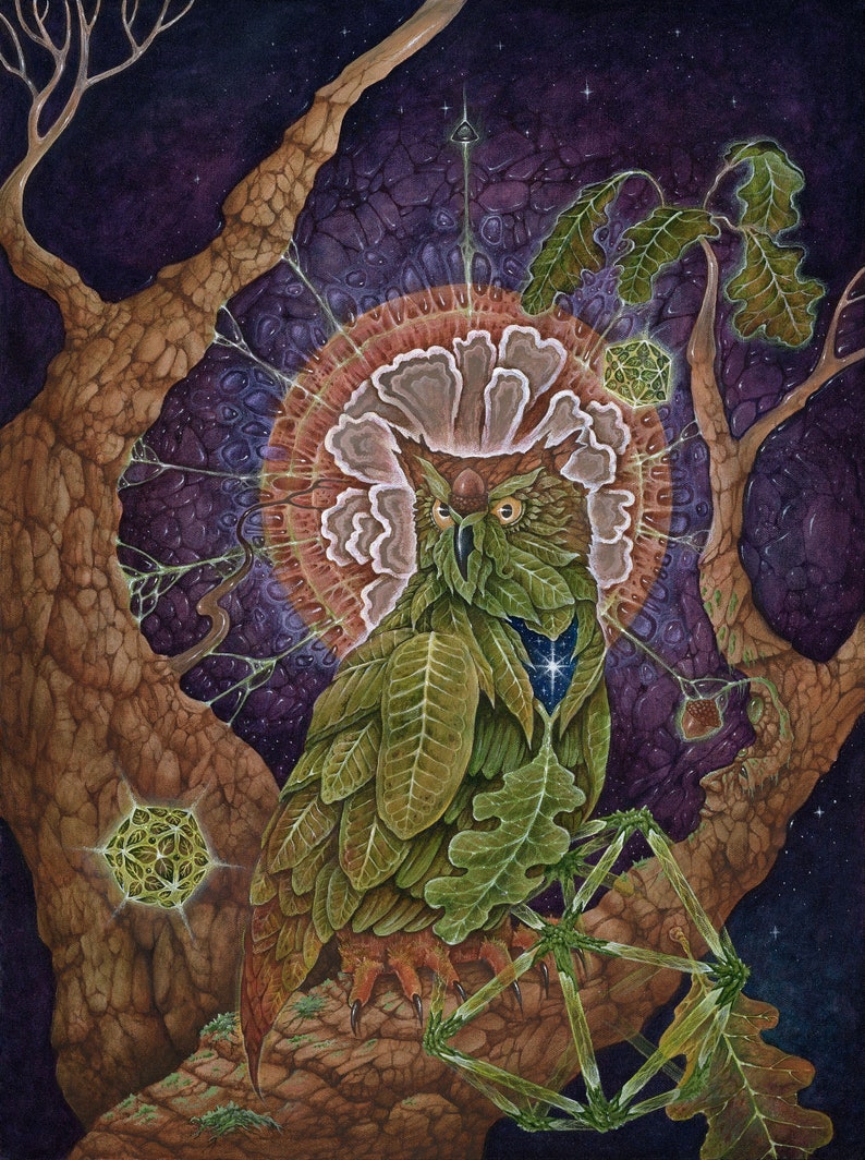 The Wise One Paper Print - Etsy