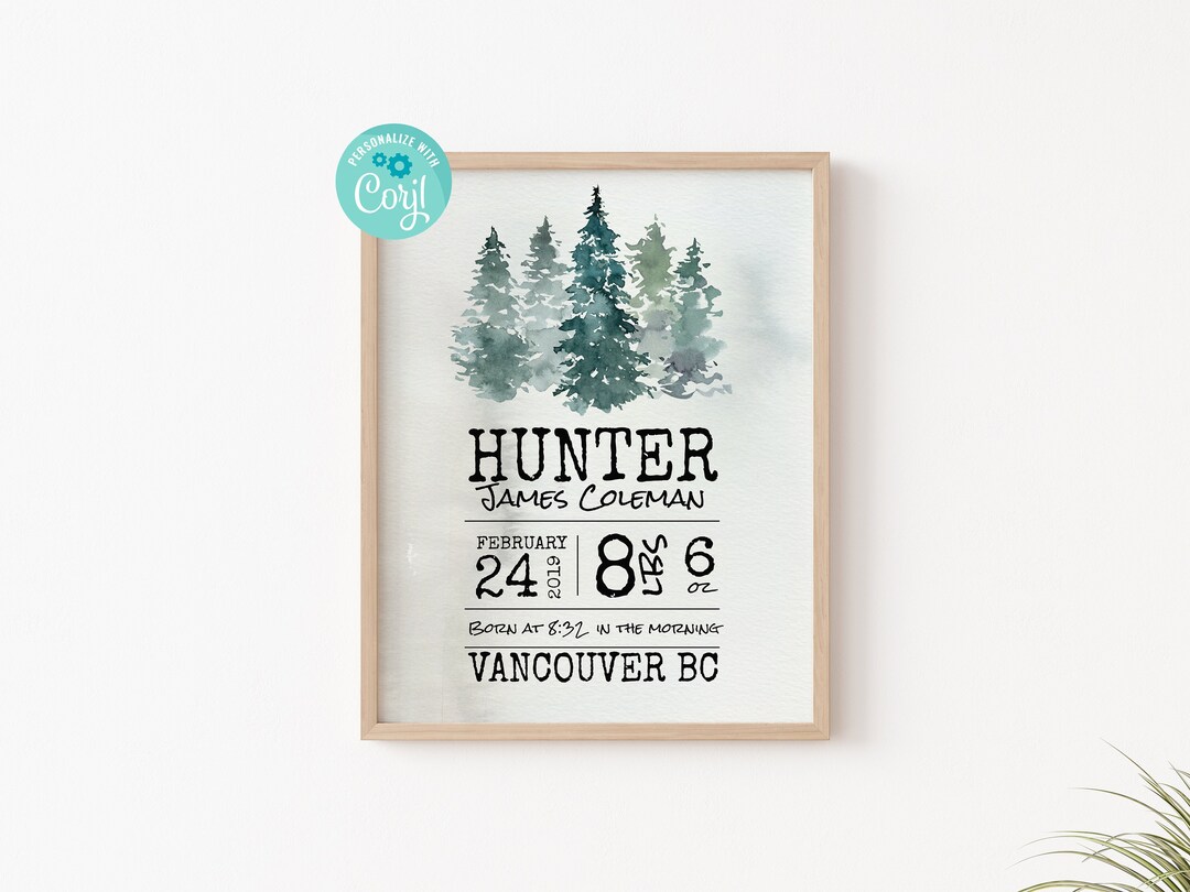 EDITABLE Baby Stats Template - Baby Stats Print, Baby Shower Gift ...