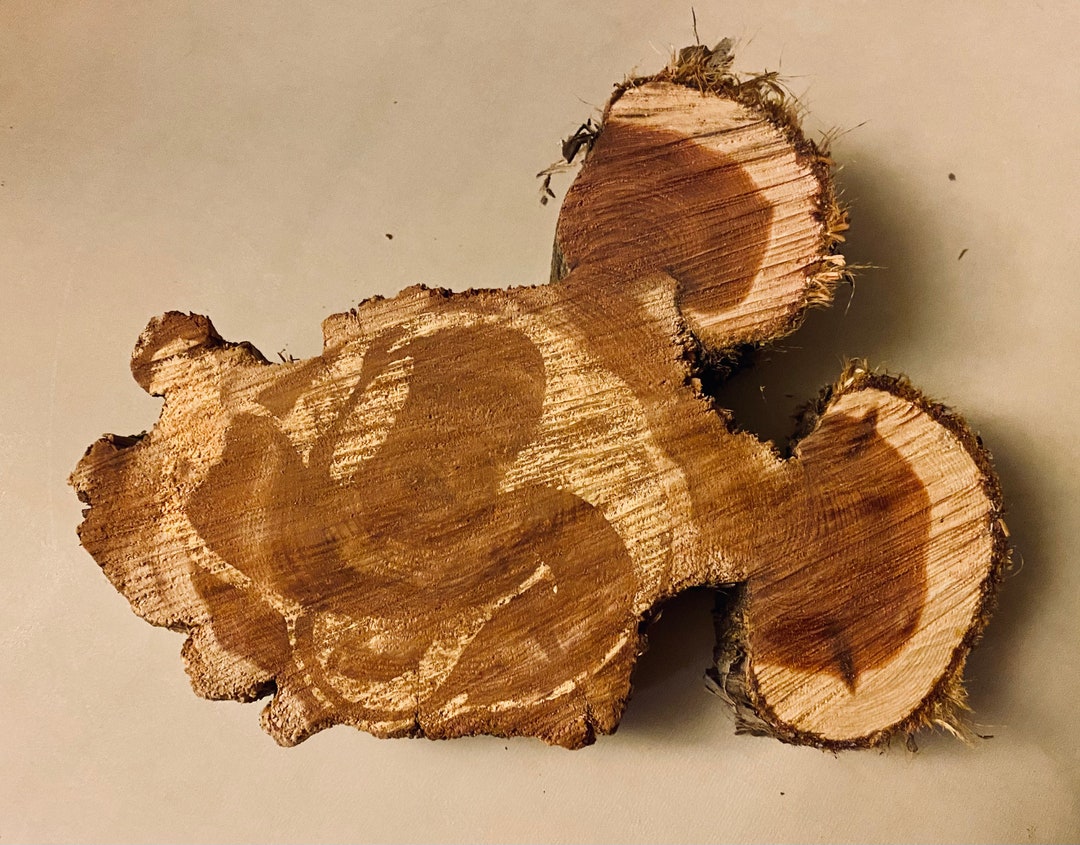 Mickey Mouse Juniper Tree Stump Wooden Sculpture Decoration - Etsy