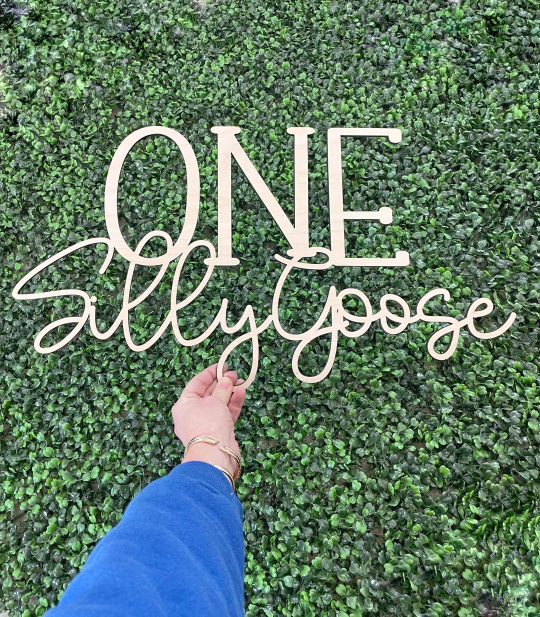 ONE SILLY GOOSE First Birthday One Silly Goose Baby Shower Decor Mama ...