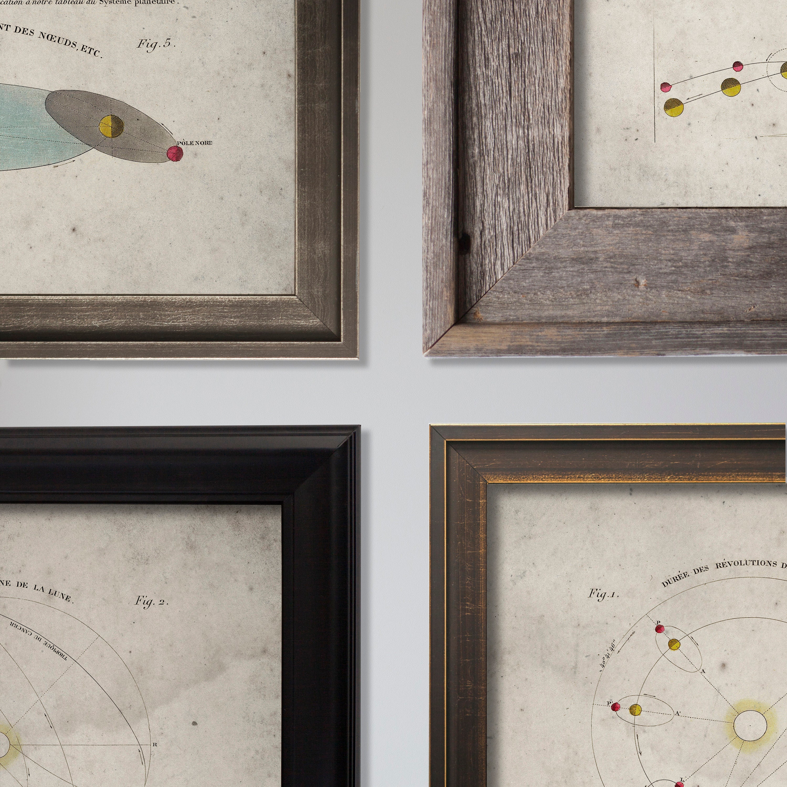 Old Lunar Phase Chart French Moon Phase Circa 1850 | Etsy