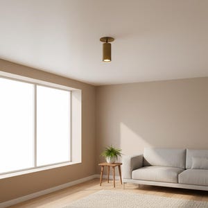 Adjustable Angle Ceiling Spot Light, Ceiling Spot Light, Modern Ceiling ...