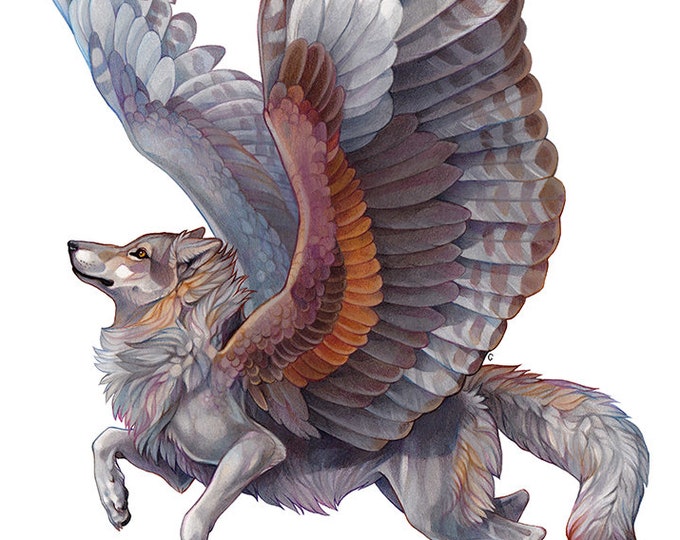 A4 Print - Winged Wolf - Etsy
