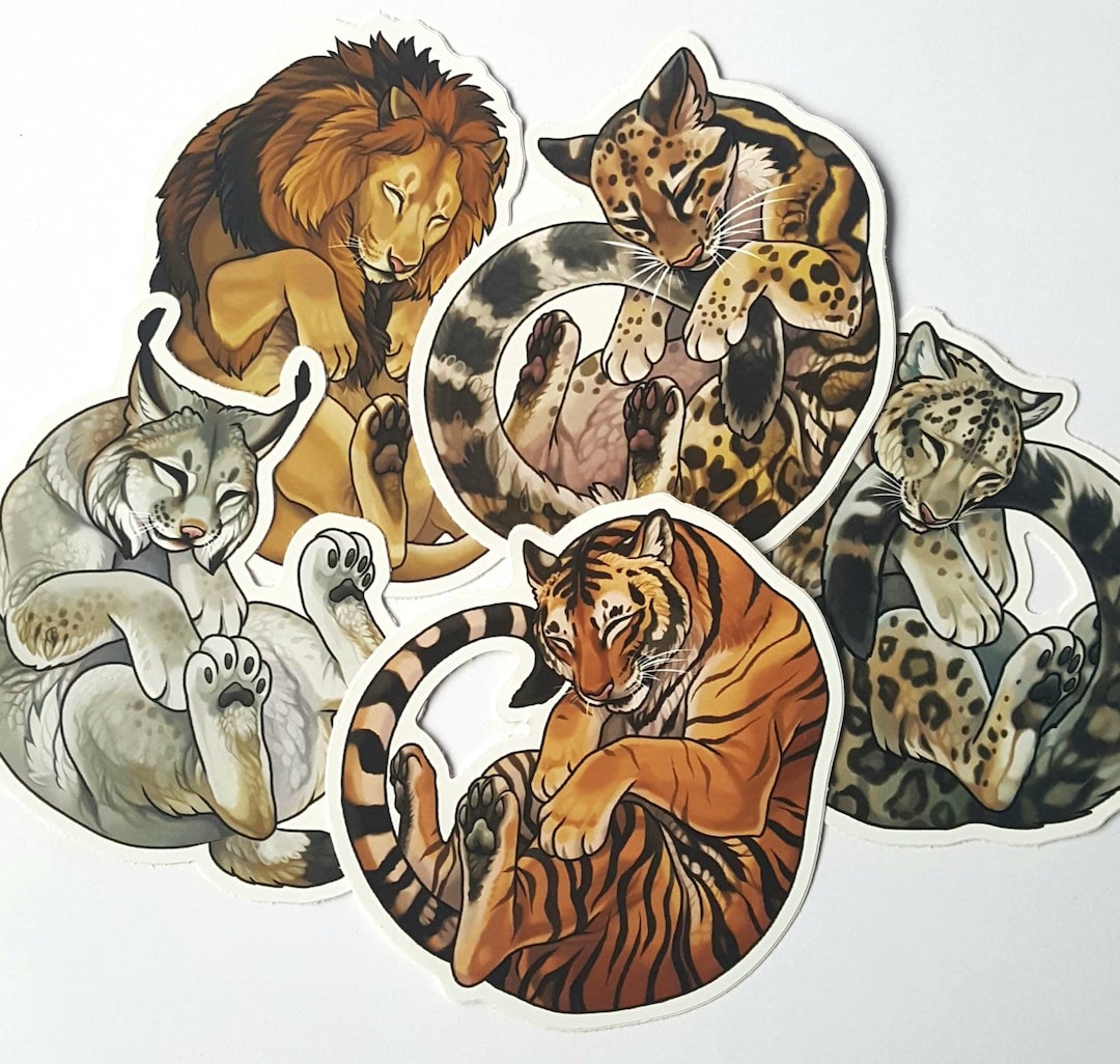 Sleepy Big Cat Sticker Pack - 5 Vinyl Animal Stickers - Etsy