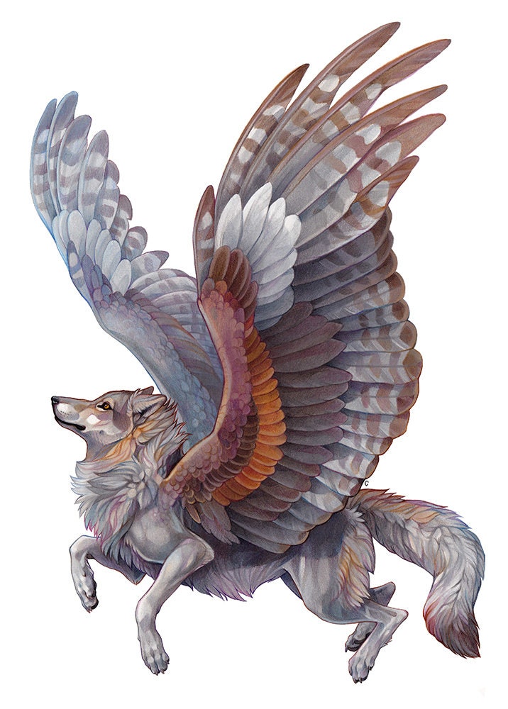 Real Winged Wolves