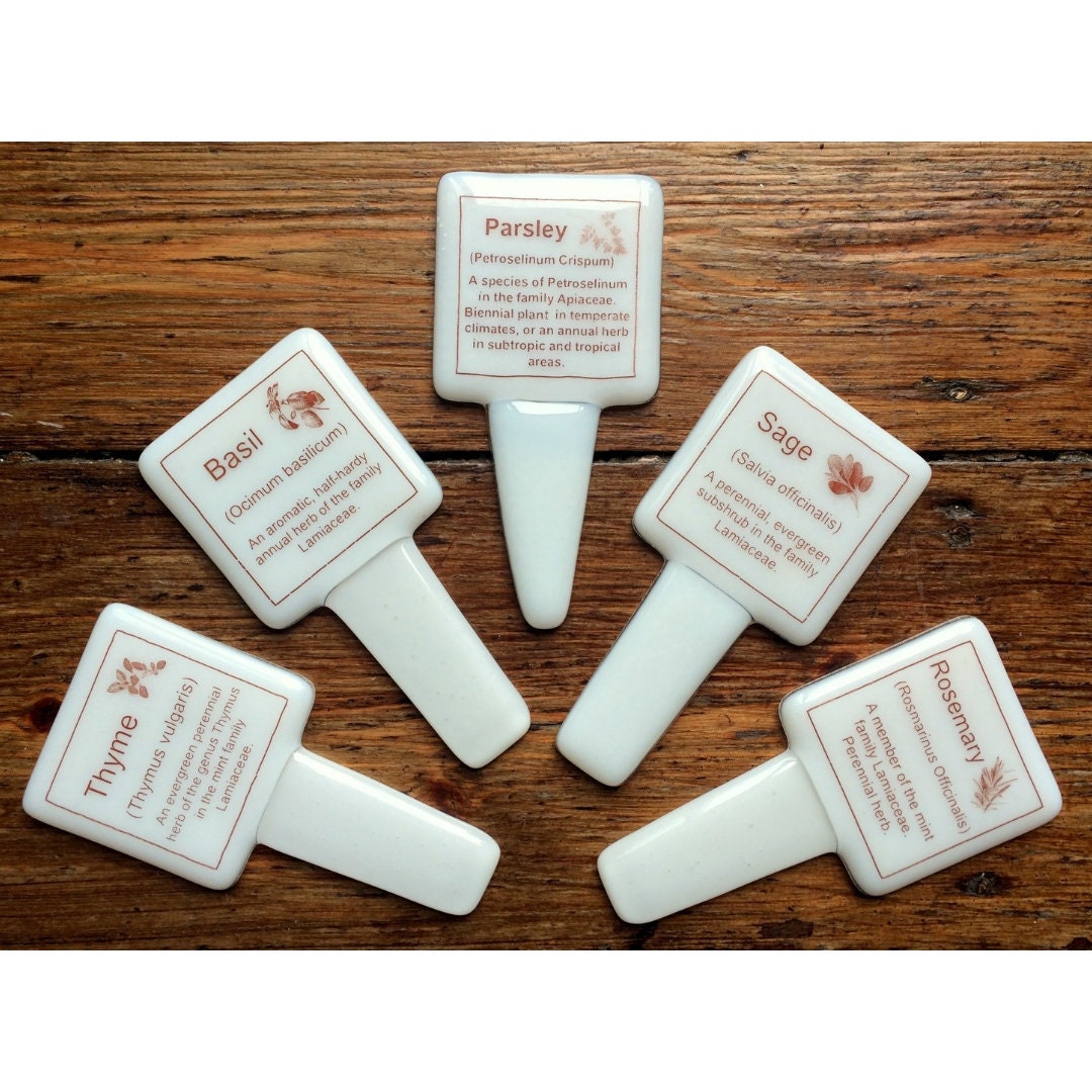 Handmade Fused Glass Vegetable Herb Garden Plant Name Label / - Etsy UK