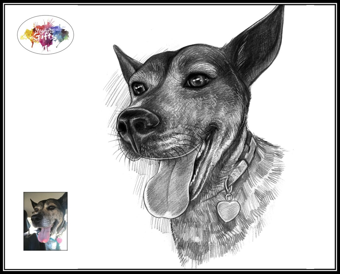 Pet Pencil Sketch Drawing - Hand Drawn From Your Photos / Pet Memorial ...