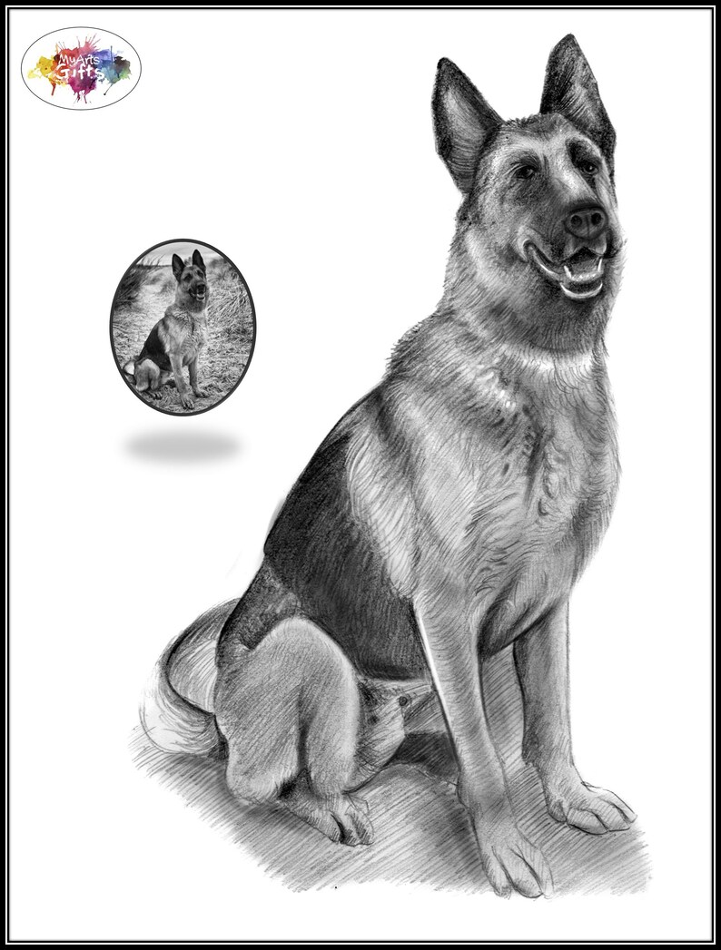Pet Pencil Sketch Drawing Hand Drawn From Your Photos / Pet - Etsy UK