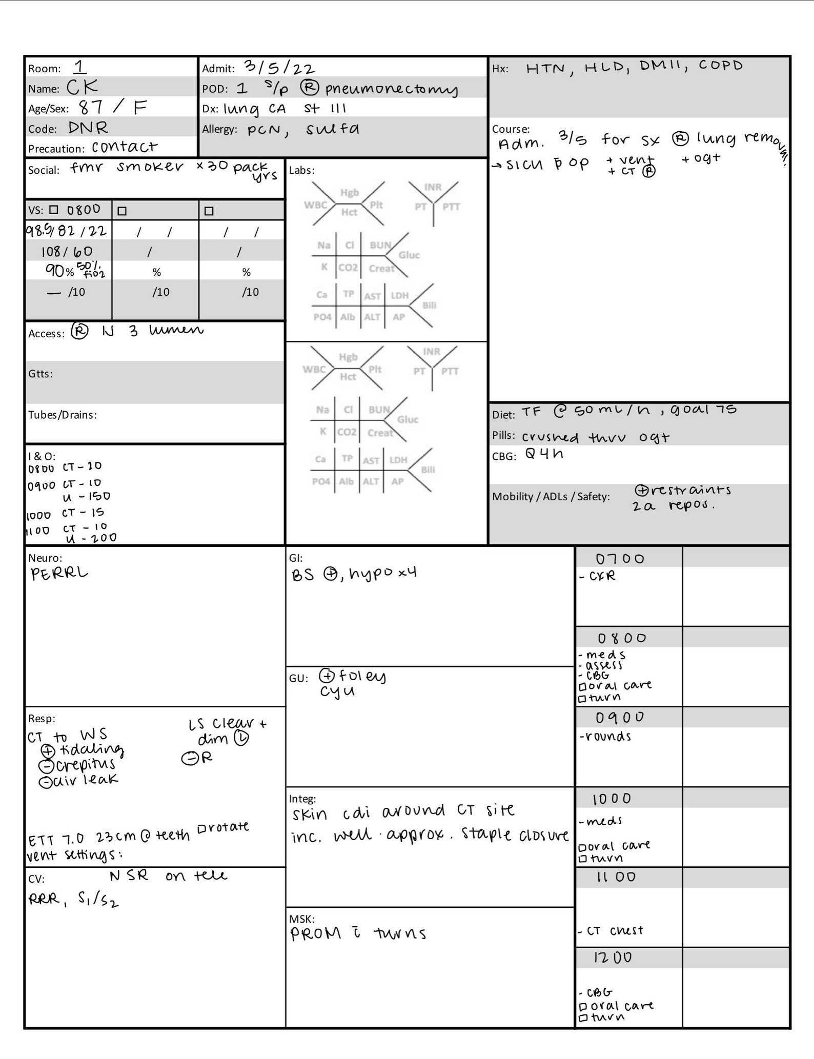 Nursing Brain Sheet 2 / Report Sheet / Large Boxes / Open Space ...