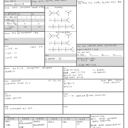 Nursing Brain Sheet / Report Sheet / Nursing Student / - Etsy