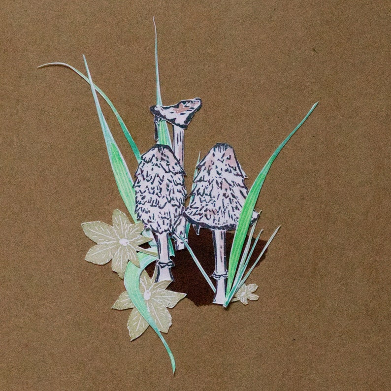 Ink Fungus Haiku : Art Map A6 With a Natural Illustration. - Etsy