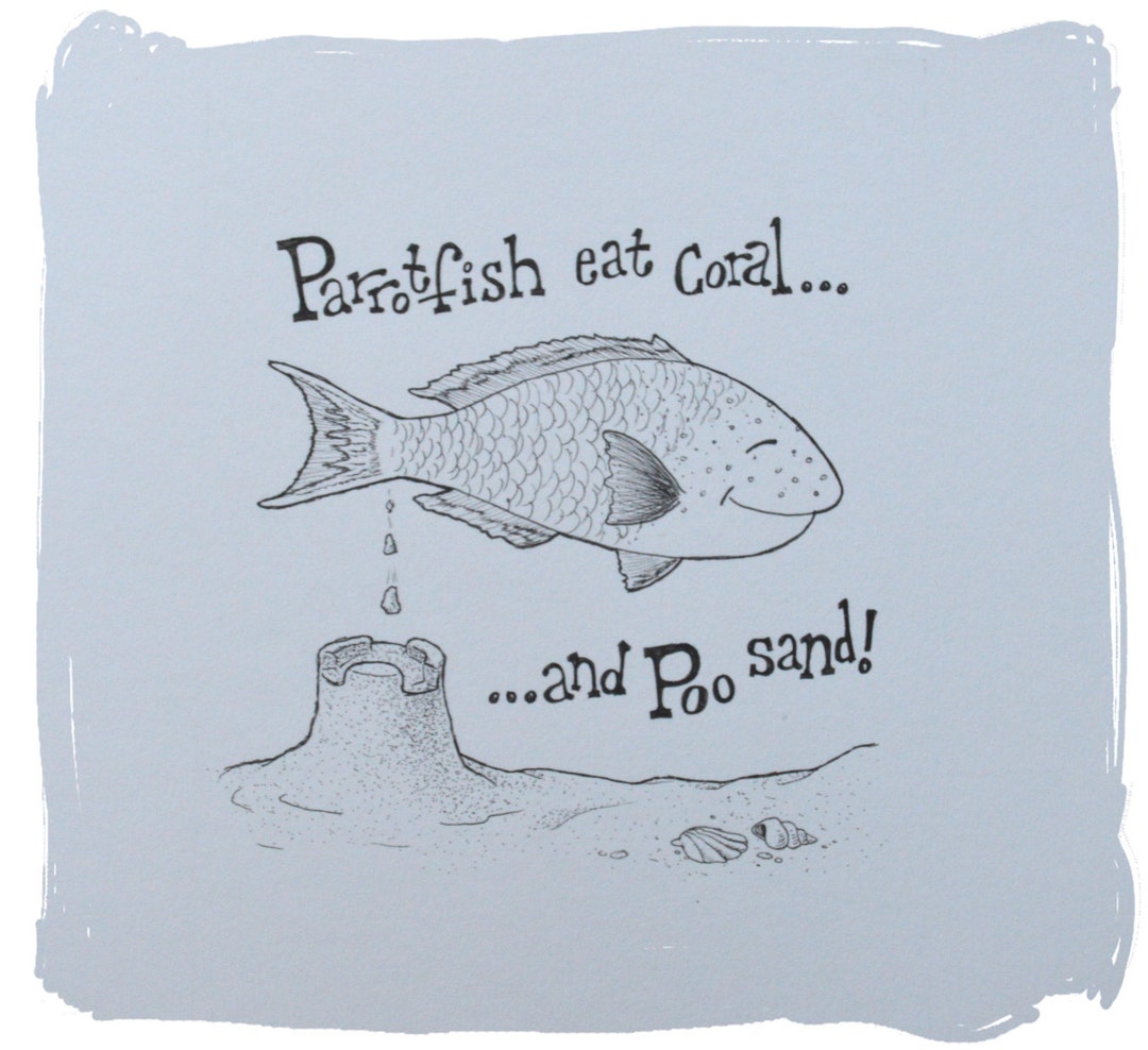 ORIGINAL parrotfish Poo Drawing, or 1 of 5 Limited Edition Prints ...