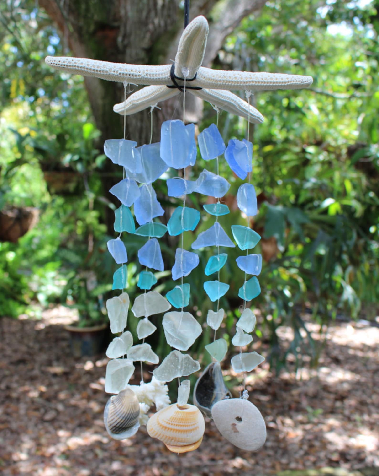 Beachy Decor Sea Star With Sea Glass Shell and Coral Wind - Etsy