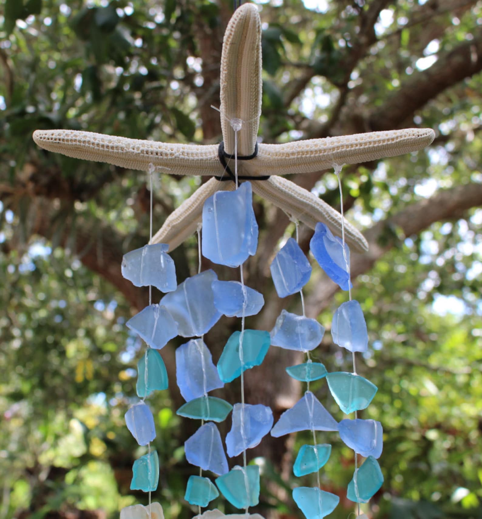 Beachy Decor Sea Star With Sea Glass Shell and Coral Wind - Etsy