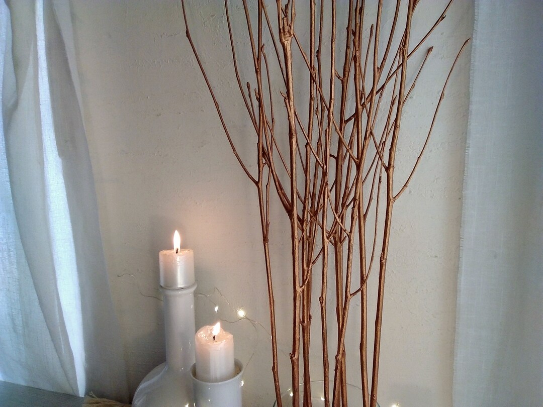 Copper Painted Rowan Tree Branches: Modern Home Decor, 19 Inch Set - Etsy