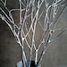 Silver Tree Branches 5 Decorative 28 Wood Branches Home - Etsy