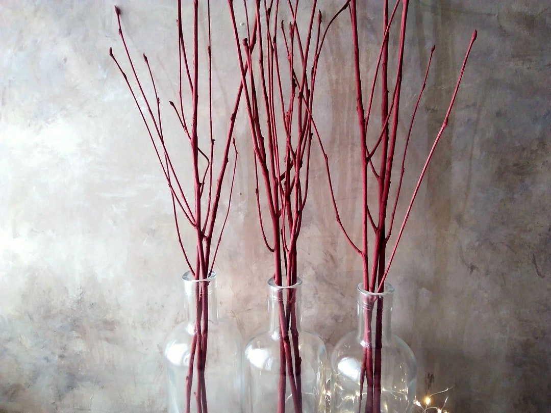 Rowan Tree Branches Dark Dusty Red Painted Natural Mountain Ash Wood ...